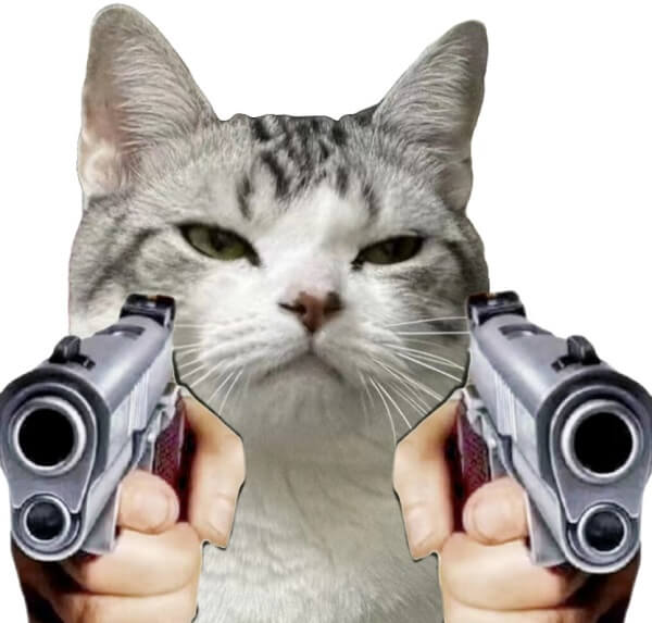 195+ Ảnh Meme Mèo: Sự Quyến Rũ Không Thể Chối Từ