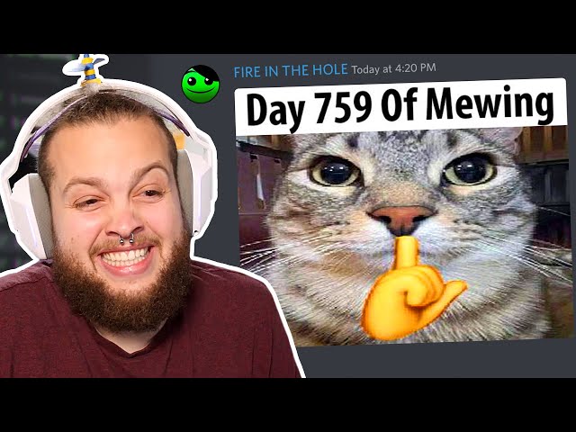 355+ Ảnh Mewing meme: Phương pháp cải thiện ngoại hình đầy hài hước